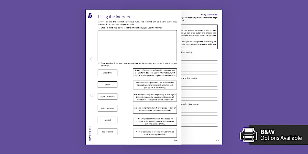 Using the Internet Worksheet - Introduction to Internet Safety
