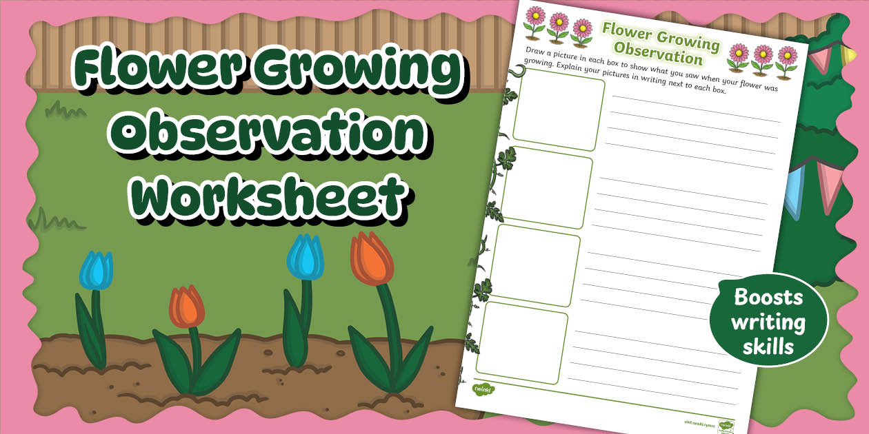 * NEW * Flower Growing Observation Worksheet