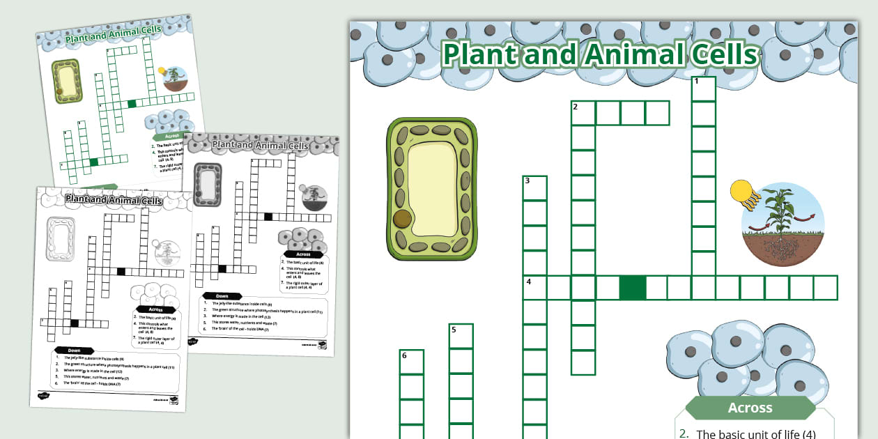 Life Science Crossword: Plant and Animal Cells - Twinkl