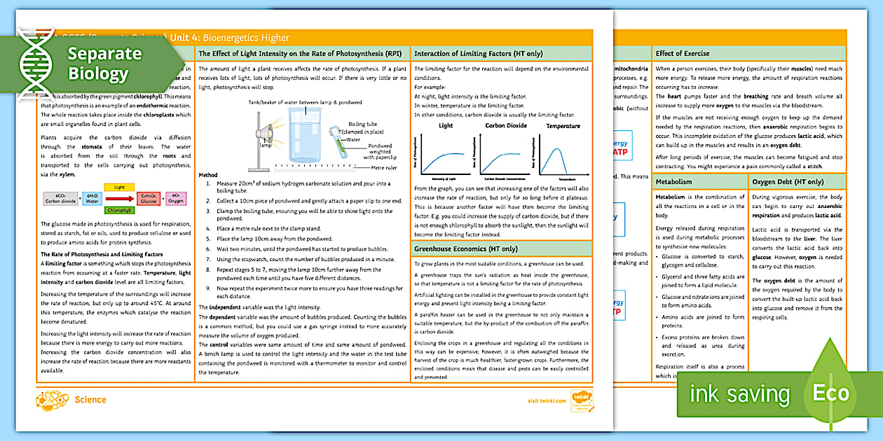 AQA GCSE Biology (Separate) Unit 4 Bioenergetics Higher Knowledge Organizer