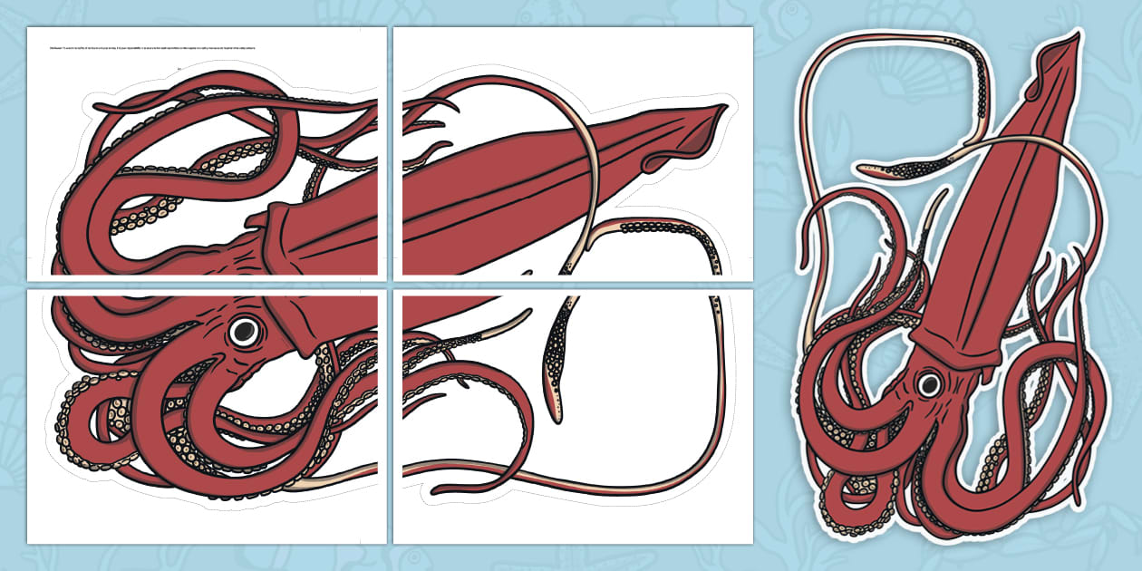 Squid Large Cut-Out (teacher made) - Twinkl