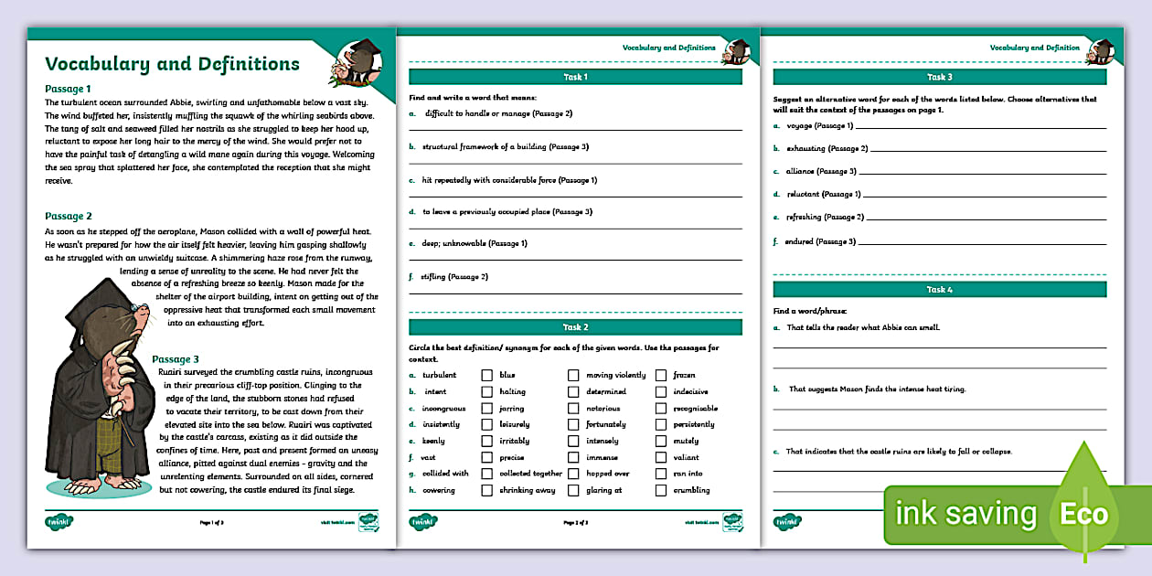 Vocabulary and Definitions Set B Activity Sheets - Twinkl