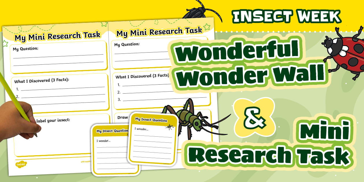 Insect Week Wonder Wall Activity Sheets