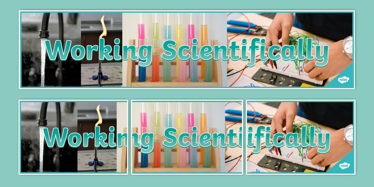 Editable Working Scientifically Photo Display Banner