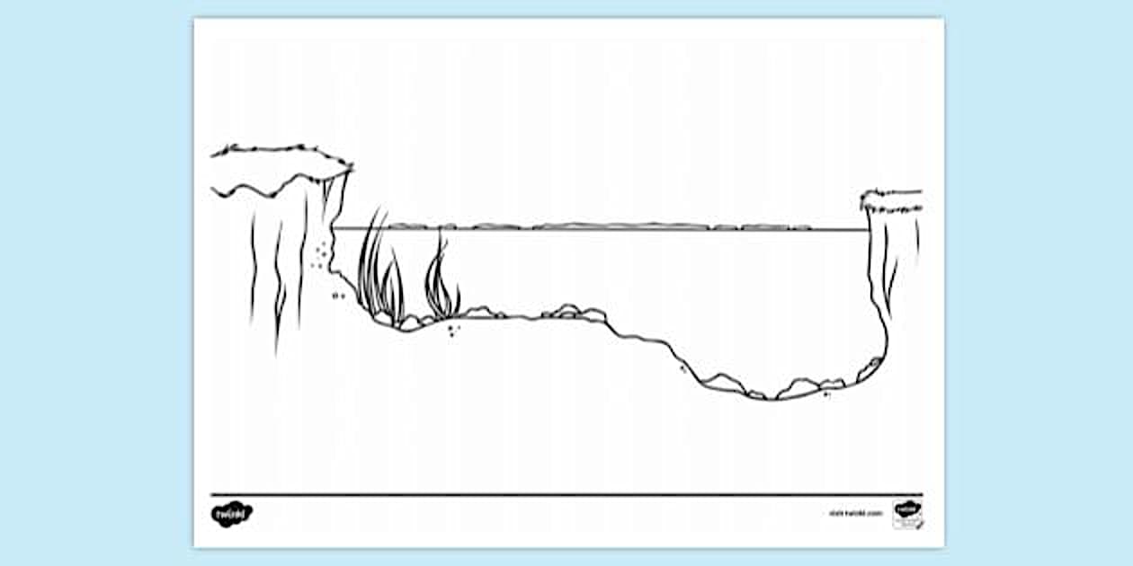 Algal Bloom River Cross-Section Colouring Sheet | Colouring