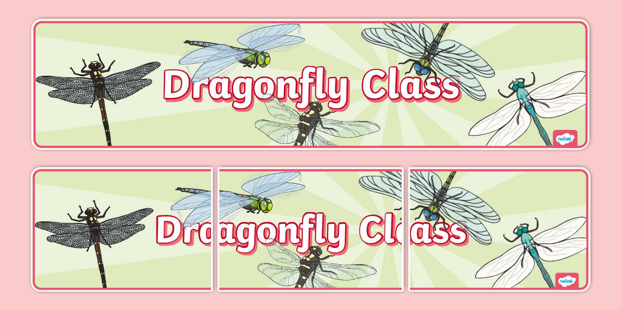 👉 Printable Dragonfly Class Display Banner - Primary Resources