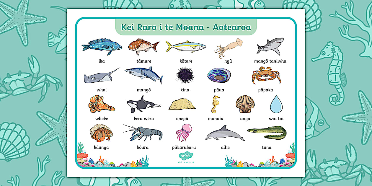 Kei Raro i te Moana - Aotearoa (teacher made) - Twinkl
