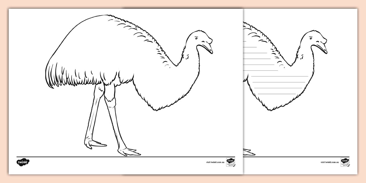 Emu Writing Template (teacher made) - Twinkl