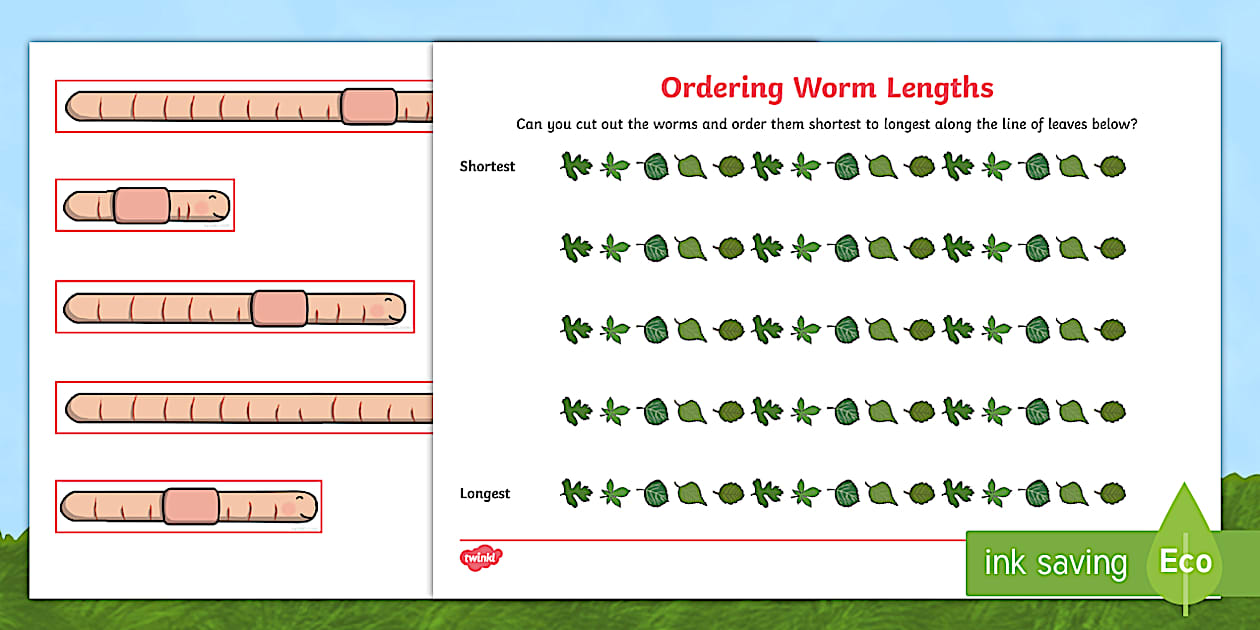 Editable Ordering Worm Lengths Worksheet (teacher made)