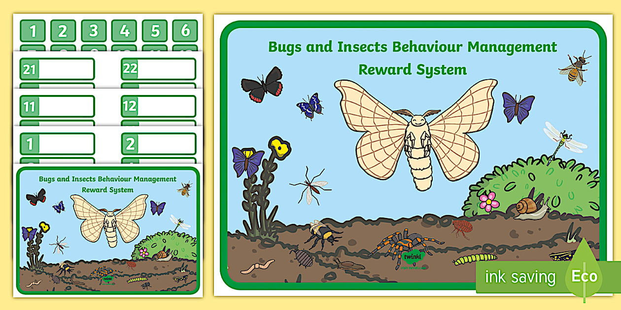 Bugs and Insects Behaviour Management Reward System - Twinkl