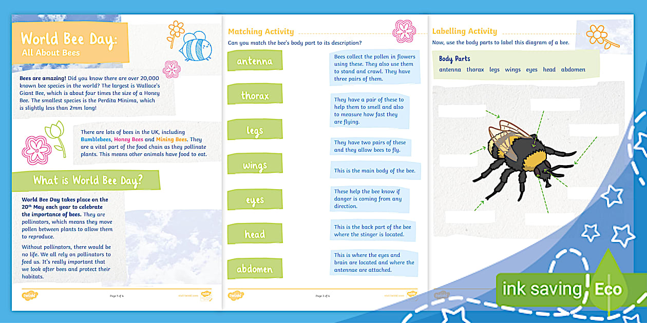 World Bee Day: All About Bees Activity Sheets (Ages 5 - 7)