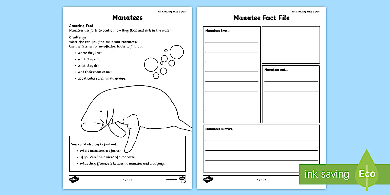 Manatees Fact File Worksheet / Worksheet - Twinkl