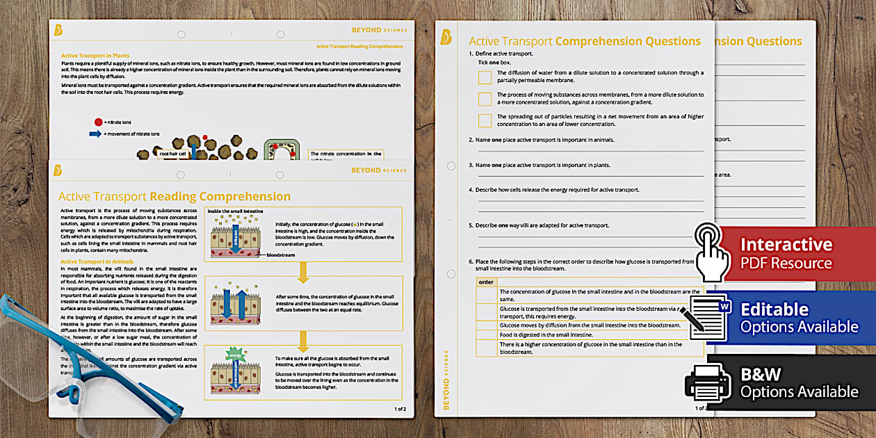 Active Transport Reading Comprehension | Biology | Beyond