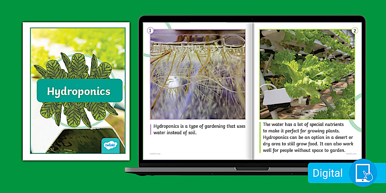 Hydroponics eBook (teacher made) - Twinkl