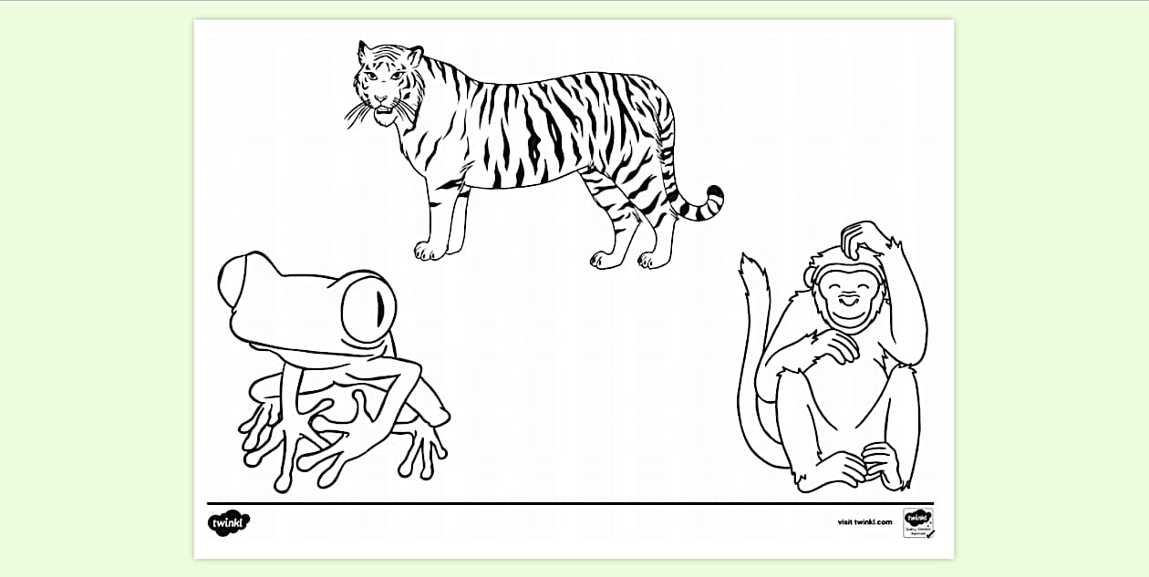 Jungle Animals Colouring Page | Colouring Sheets - Twinkl