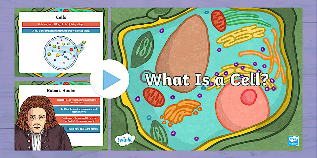 What Is a Cell? PowerPoint & Google Slides (teacher made)