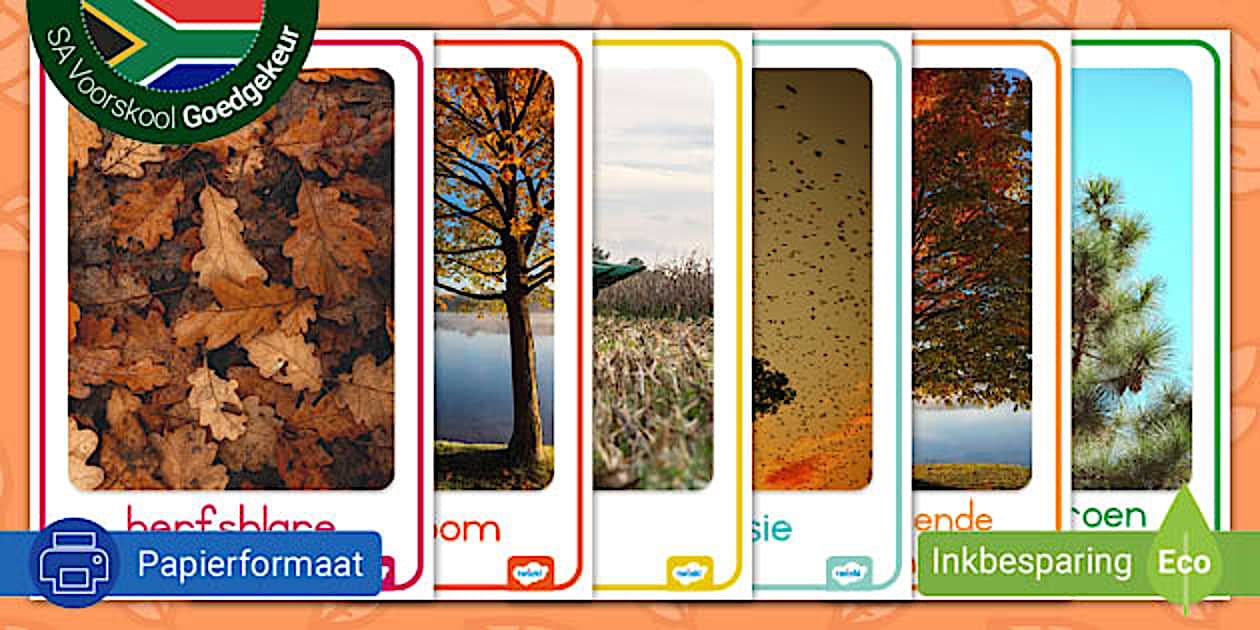 Herfs Vertoonfoto's (Teacher-Made) - Twinkl