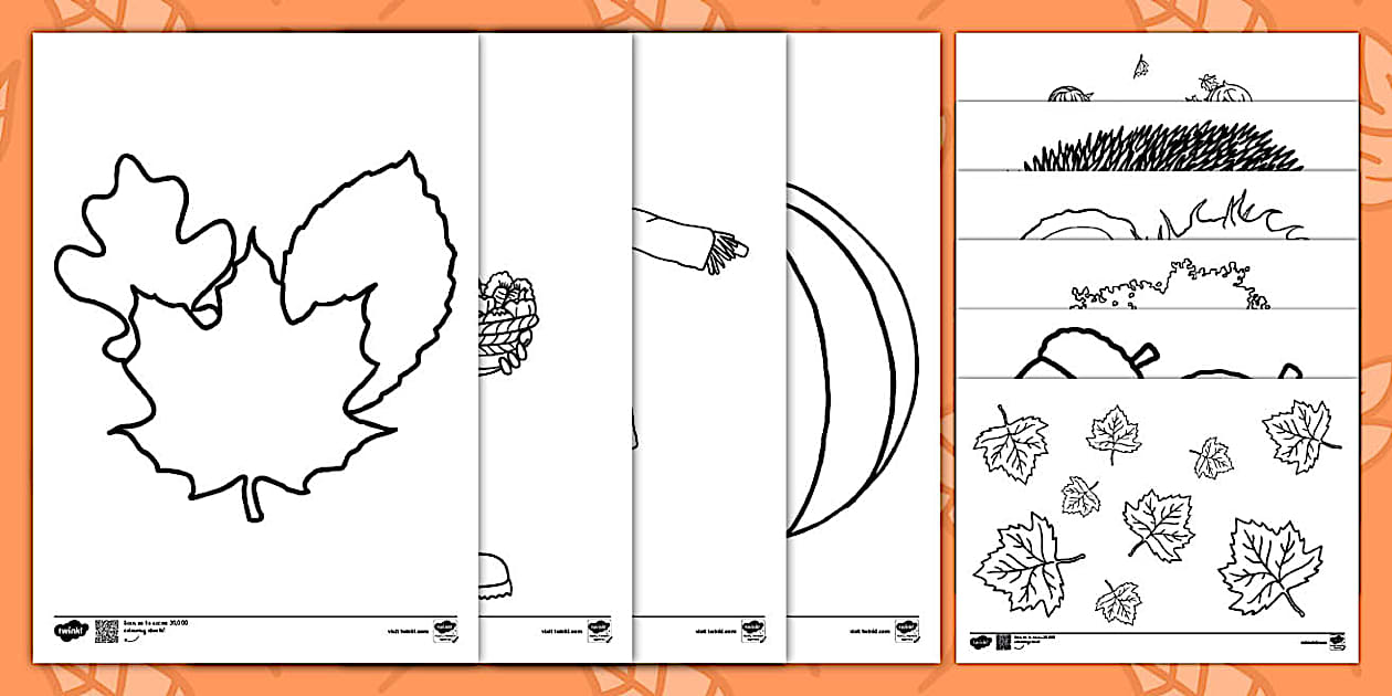 Toamna – Desene de colorat - Twinkl