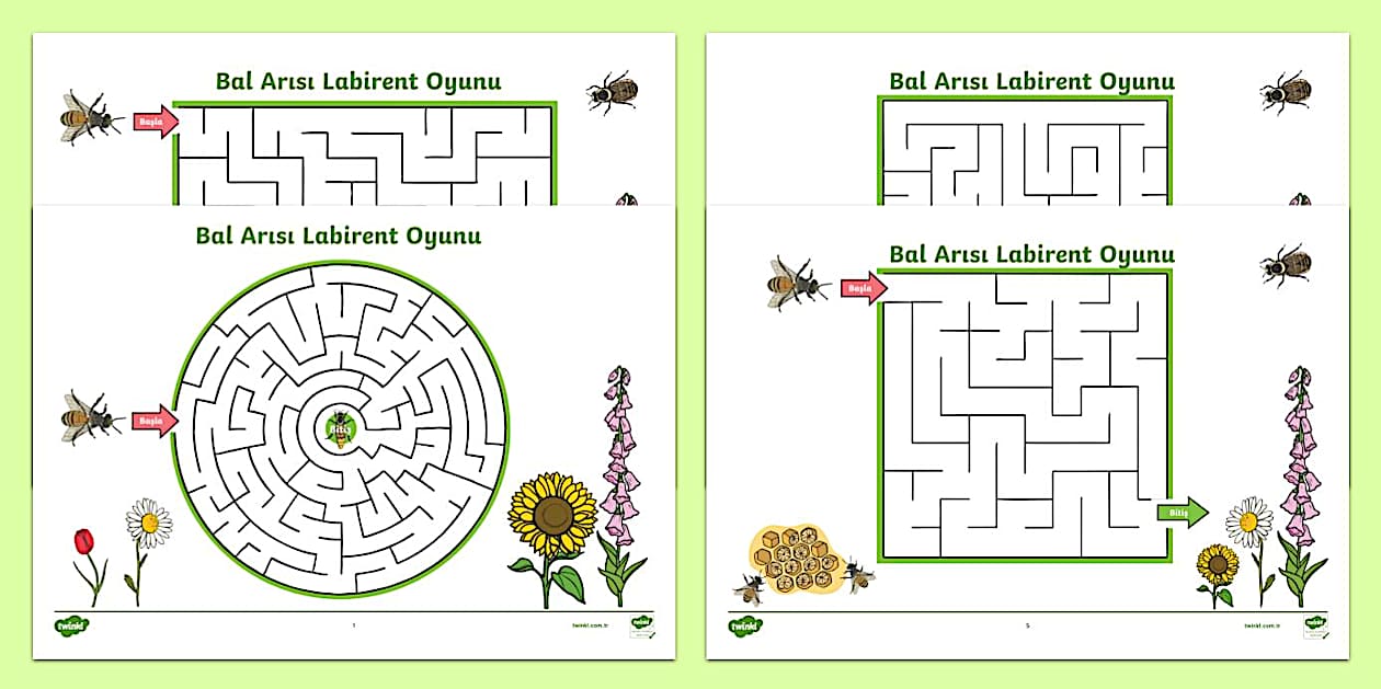 Bal Arısı Labirent Oyunu (Teacher-Made) - Twinkl