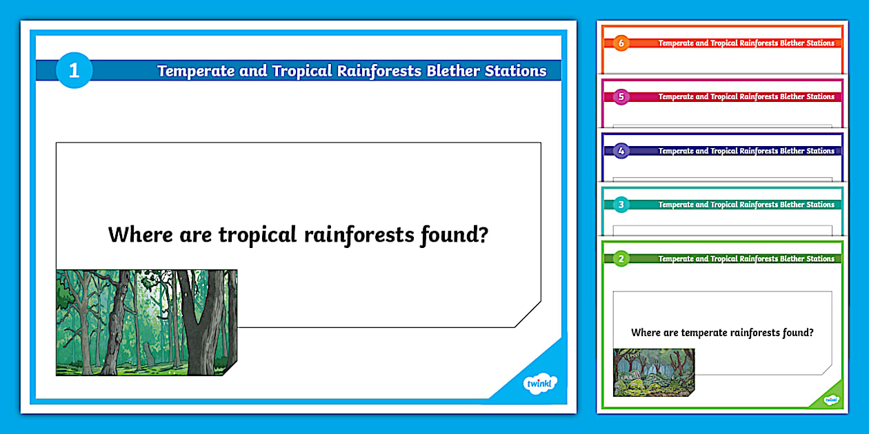 Temperate and Tropical Rainforests Blether Stations - Twinkl