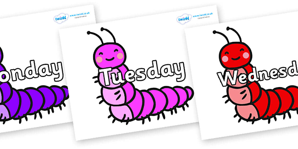 Days of the Week on Caterpillars (teacher made) - Twinkl