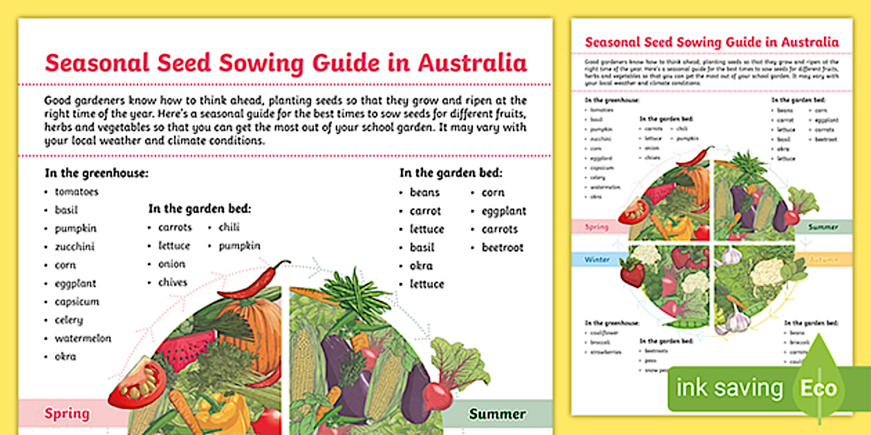 Editable Seasonal Seed Sowing Guide Display Poster - Twinkl