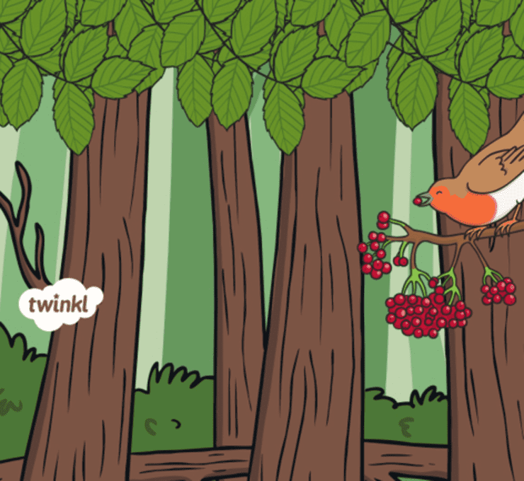 National Tree Week 2025 | Ireland | Event Information