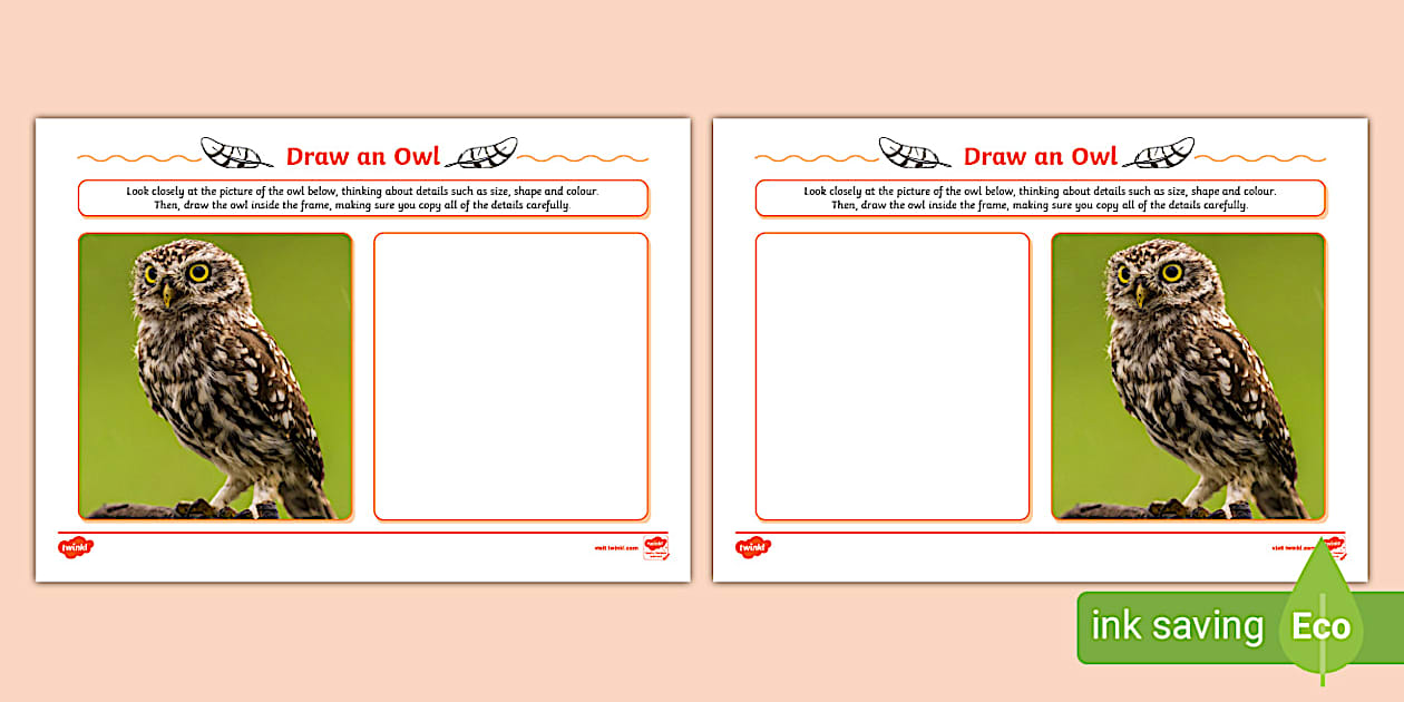 Draw an Owl Art Activity,owl art,draw an owl,owls - Twinkl
