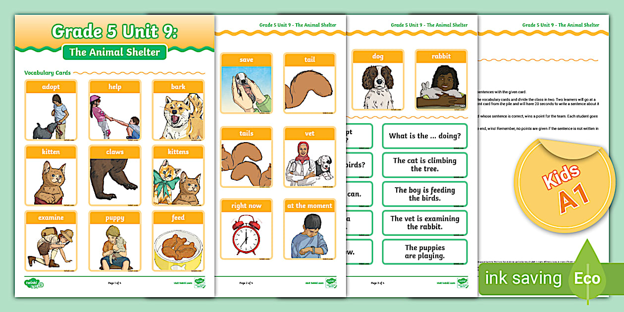 Turkey Curriculum English Vocabulary Cards: Grade 5 Unit 9 (The Animal