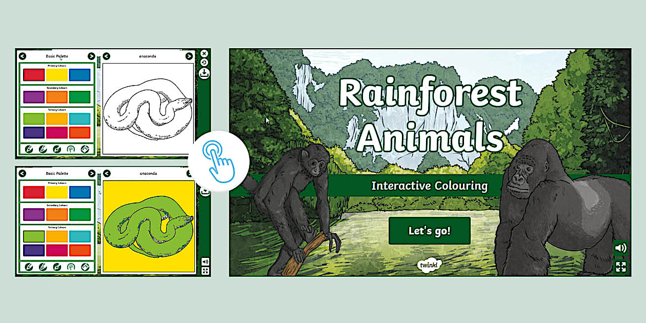 Rainforest Animals Interactive Colouring - Twinkl