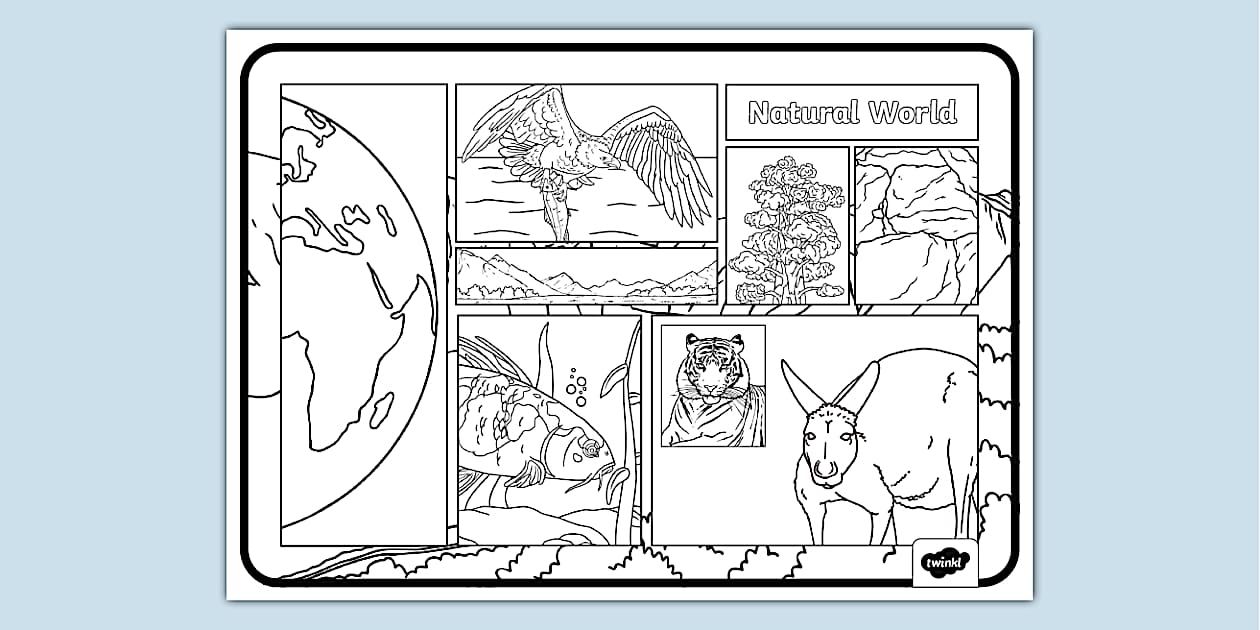 STEM IU Natural World Title Colouring Page (teacher made)