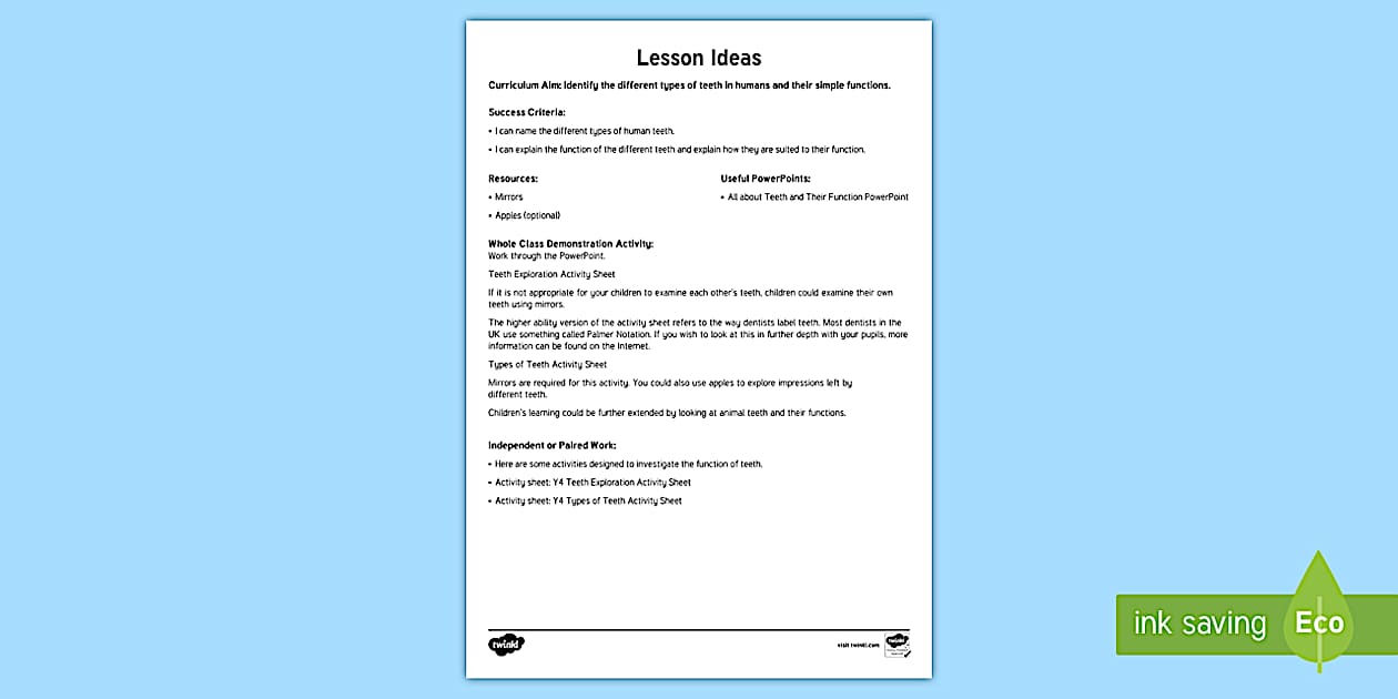 Different Types of Teeth and Their Functions Lesson Ideas