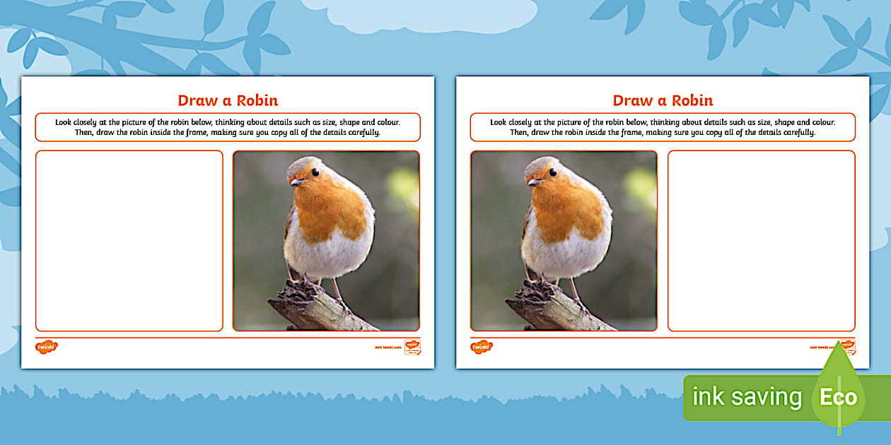 Draw the Robin Activity (teacher made) - Twinkl