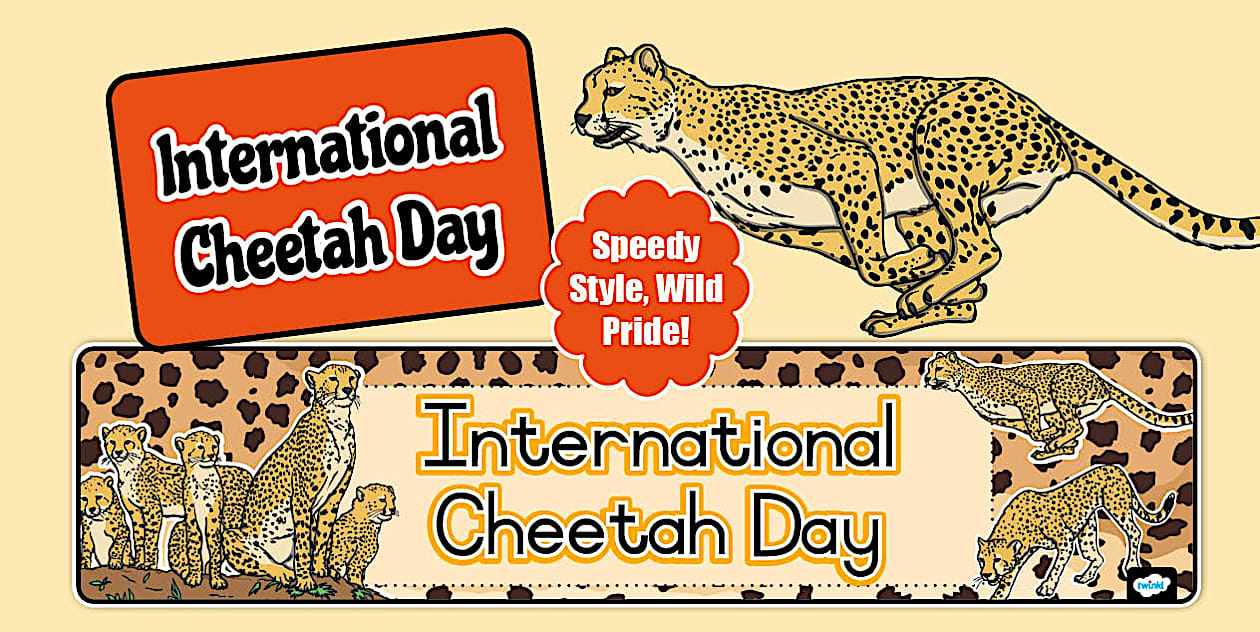 Foundation Phase - International Cheetah Day Display Banner