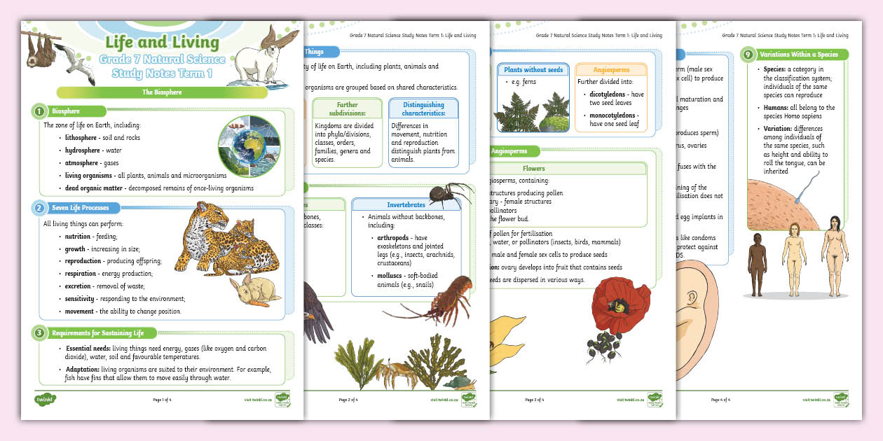 Grade 7 Natural Sciences - Term 1 - Life and Living Study Notes (CAPS ...