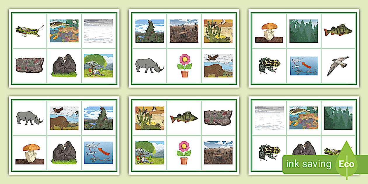 Biodiversity Bingo (teacher made) - Twinkl