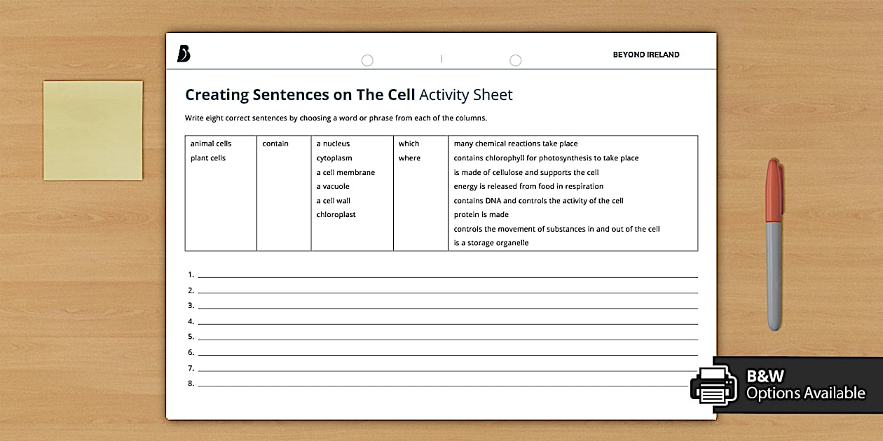 Creating Sentences on The Cell Activity Sheet
