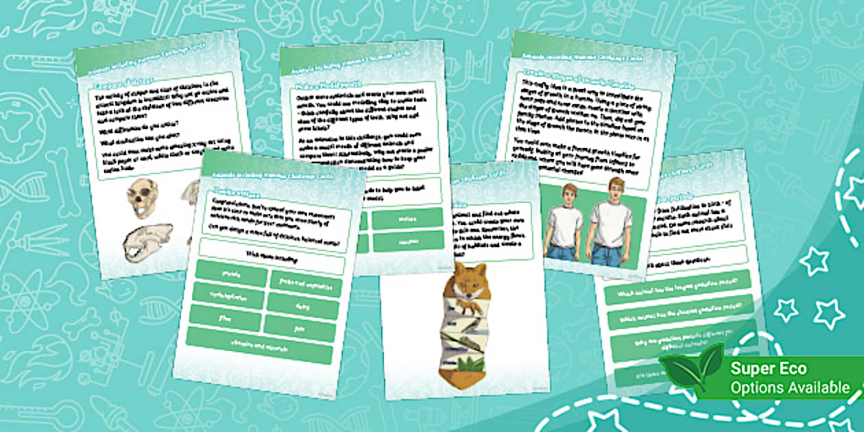 Animals Including Humans Challenge Cards (Ages 7 - 11)