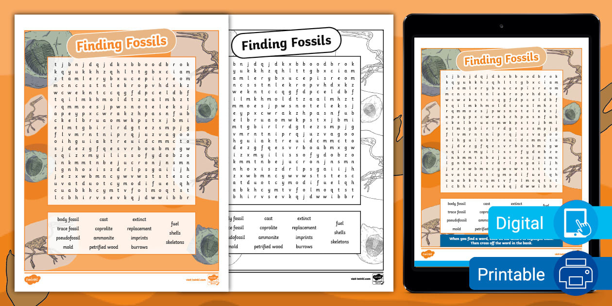 Finding Fossils Word Search for 6th-8th Grade (teacher made)