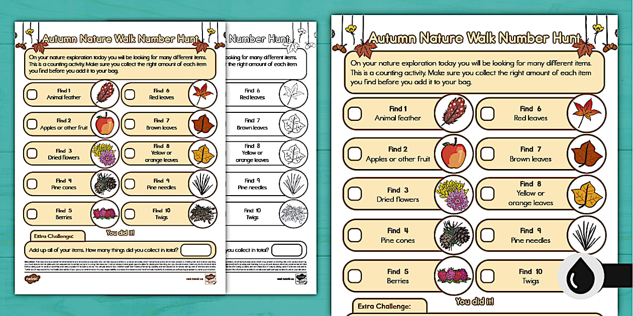 Nature Walk Activity Sheet | Autumn in Canada - Twinkl