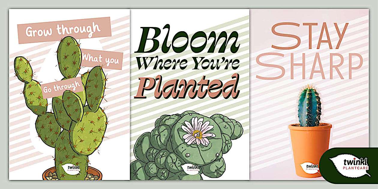 Motivational Cacti Posters (teacher made) - Twinkl