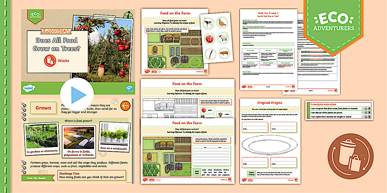 Year 3 Waste: Lesson 1 - Does All Food Grow on Trees?
