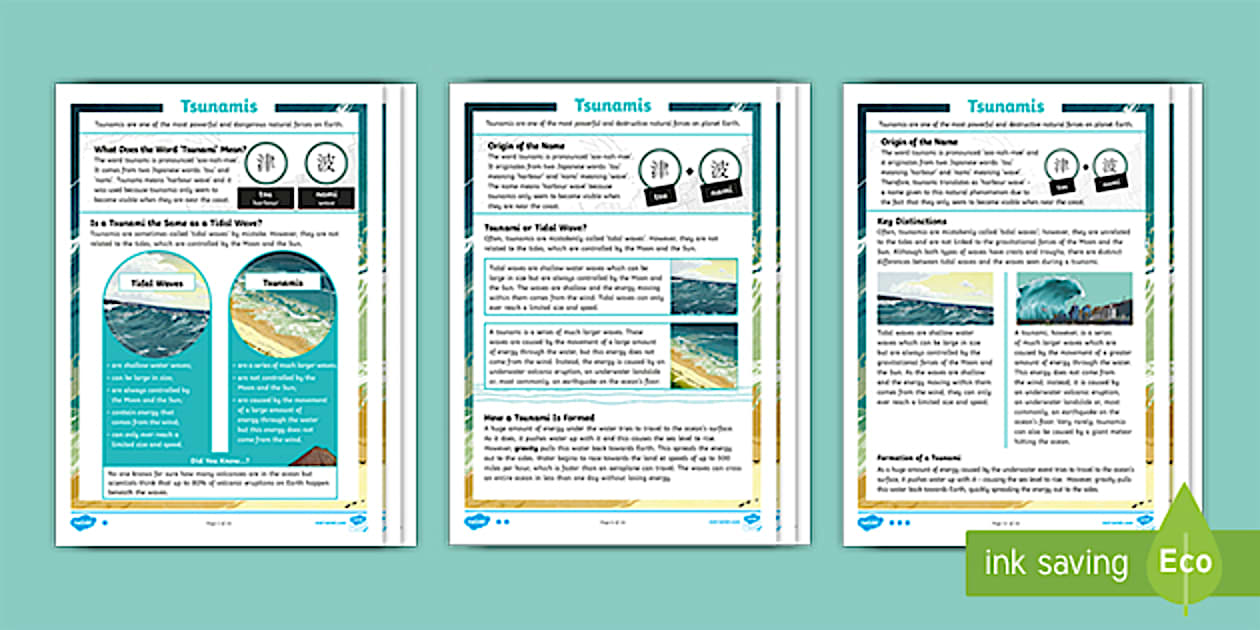 Tsunami Differentiated Reading Comprehension Activity