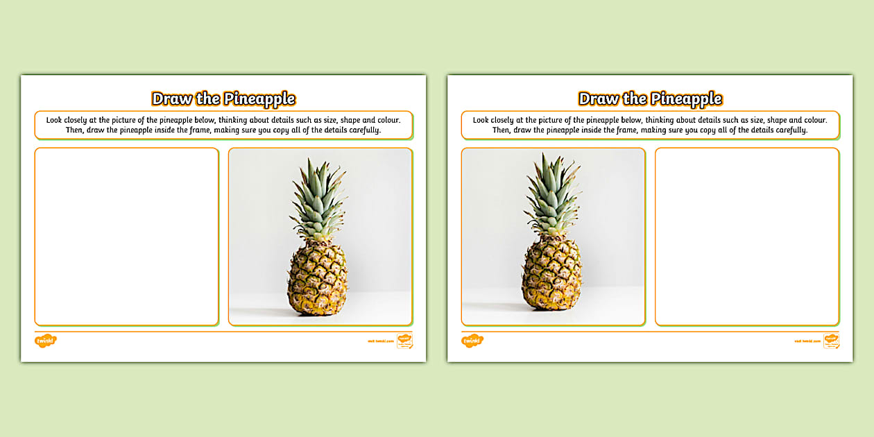 Draw the Pineapple Worksheet (teacher made) - Twinkl