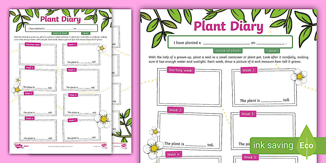 Y2 Plant Diary Activity Sheet (Teacher-Made) - Twinkl