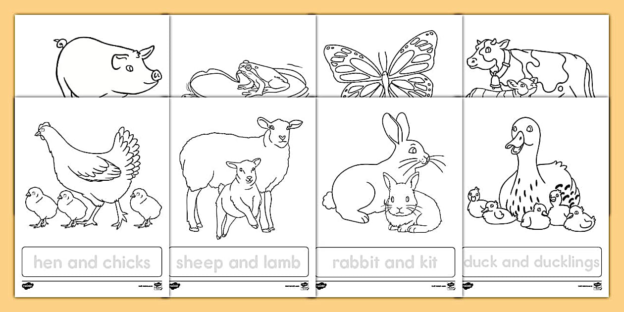 Spring Animals and Their Young Trace and Color Worksheet