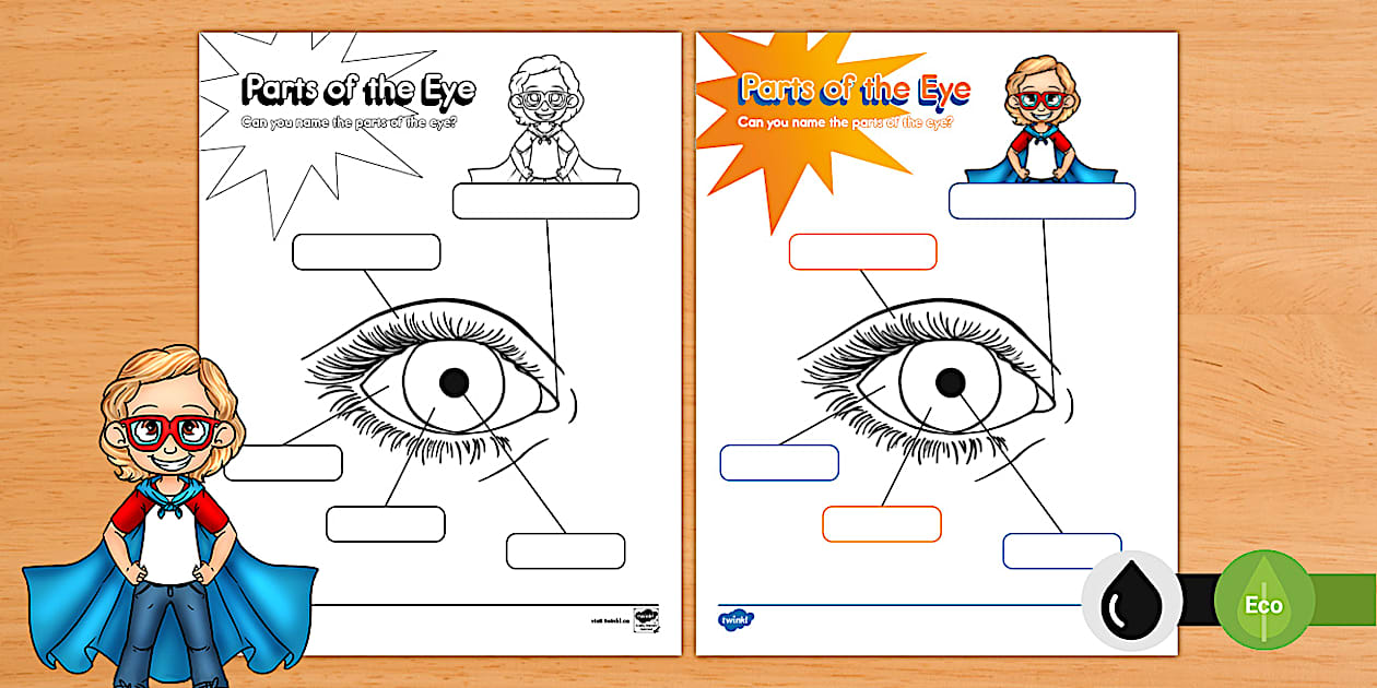 The Extraordinary Eye Parts of the Eye Activity - Twinkl