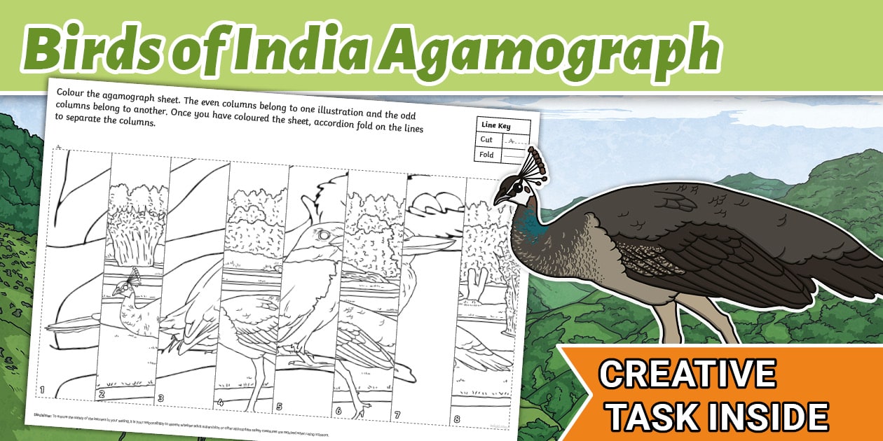 Birds of India Agamograph
