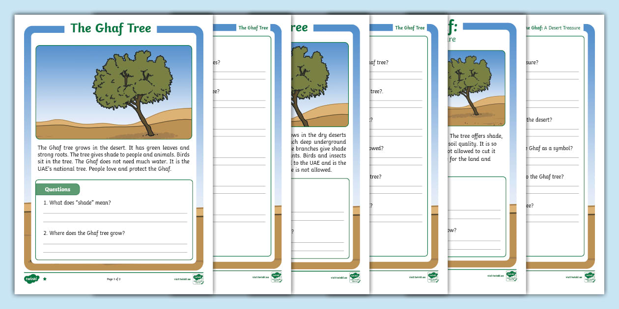 KS1 UAE Ghaf Tree Differentiated Reading Comprehension