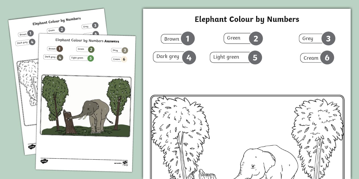 Elephant Colour by Numbers Worksheet (teacher made) - Twinkl